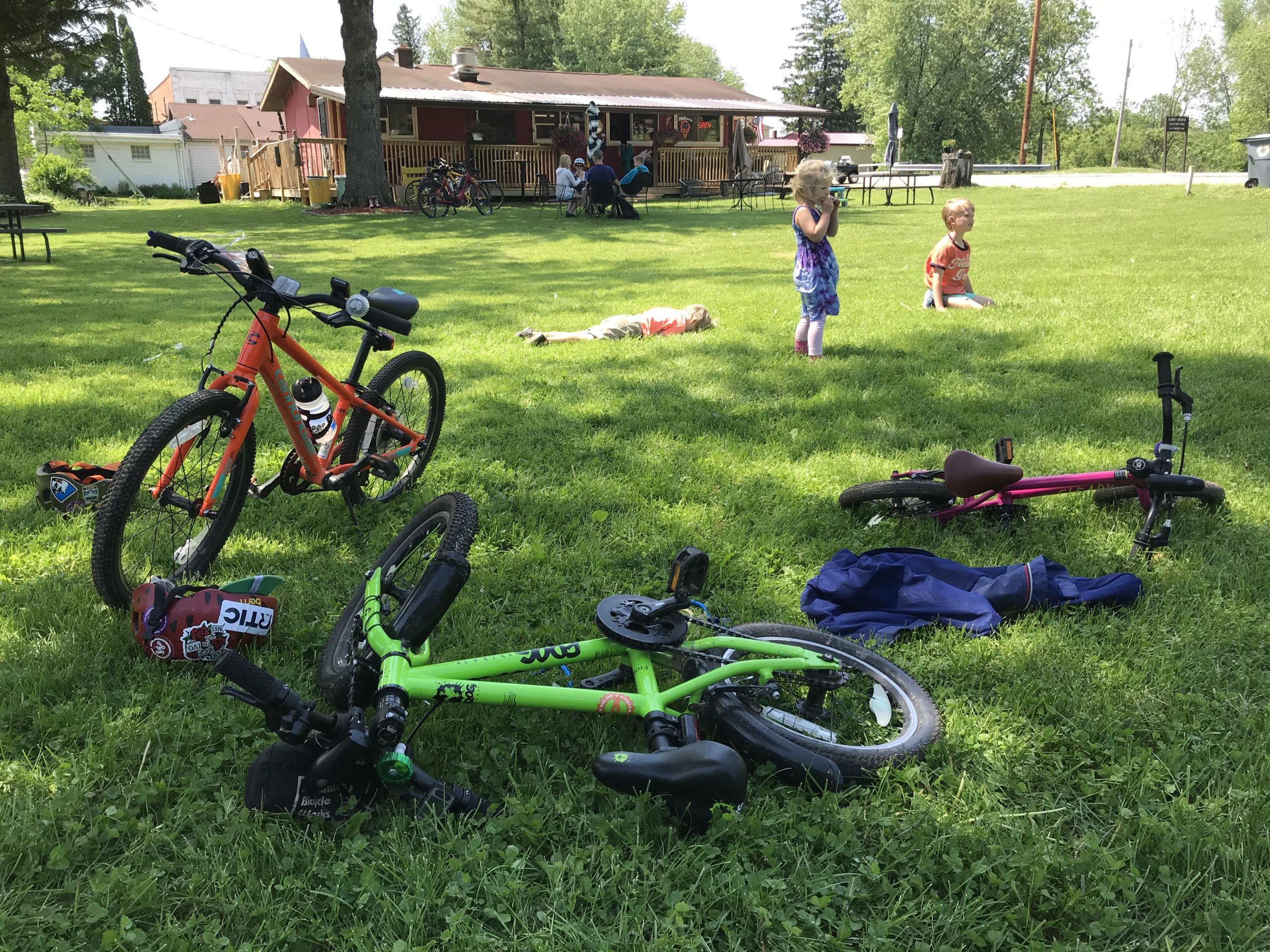 Weekly Update: Last Days of Spring - Madison Bikes