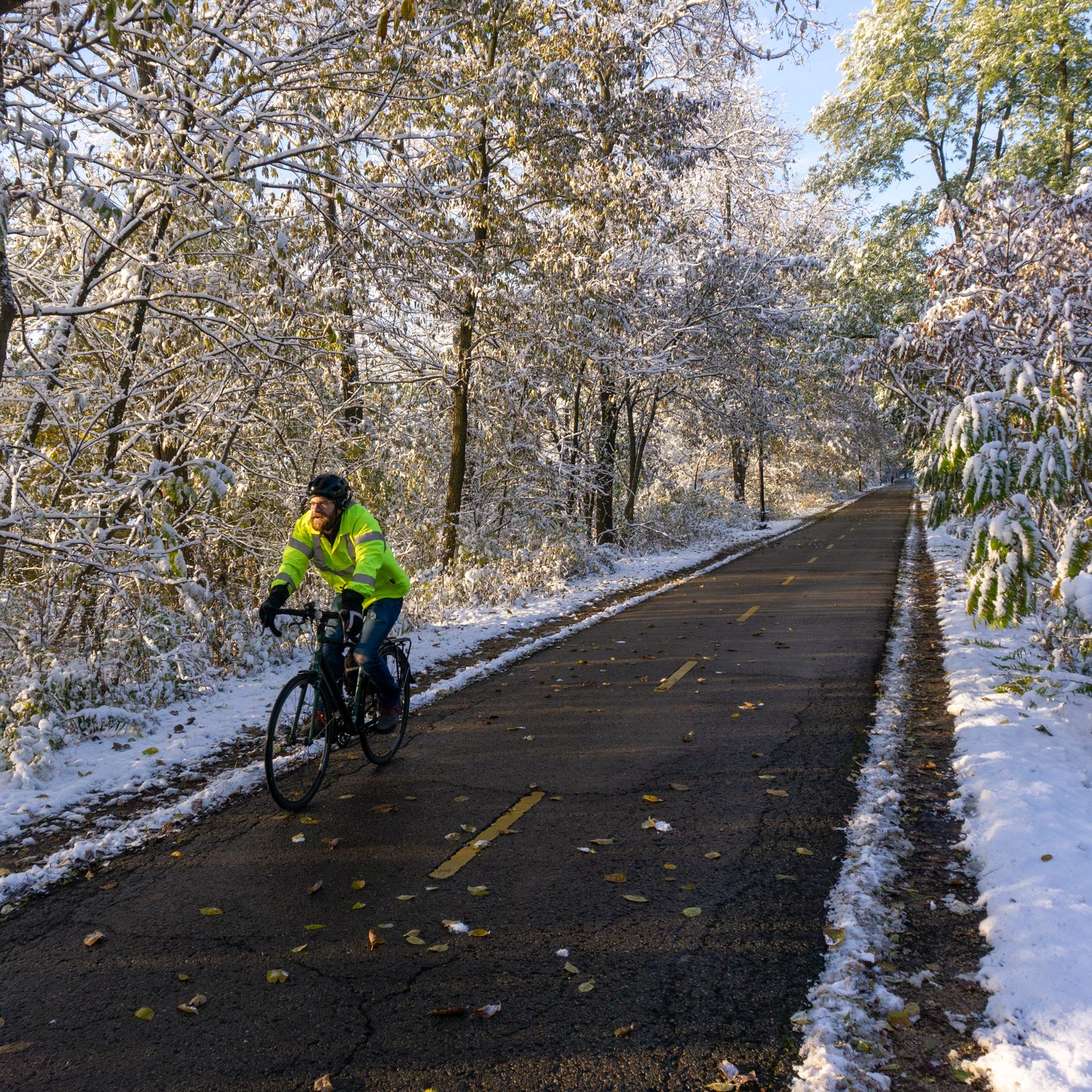 TPPB, TC, Hub Demo, Cranksgiving, and Much More - Madison Bikes