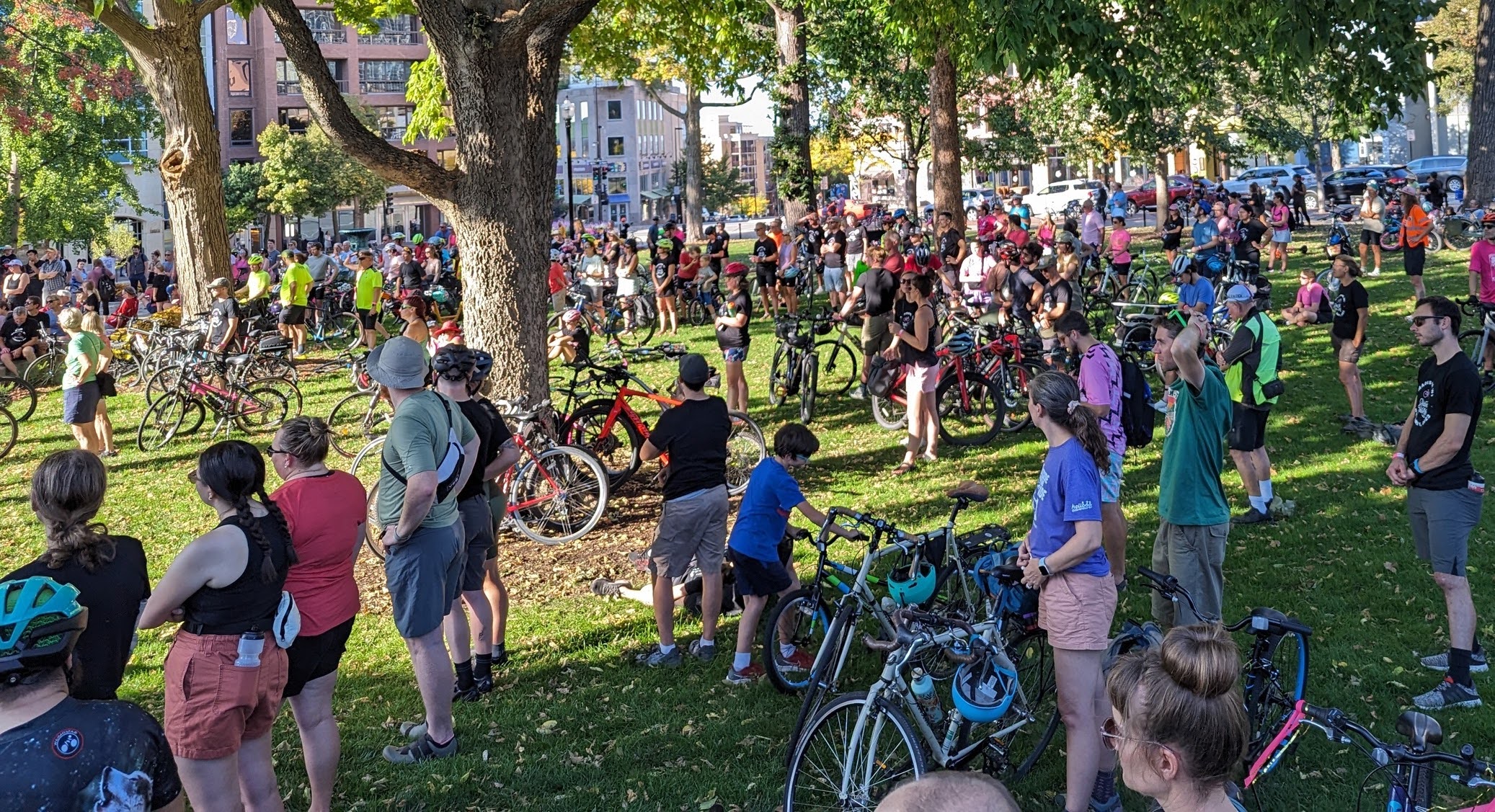 Slow week, great weather. Go ride your bike! - Madison Bikes